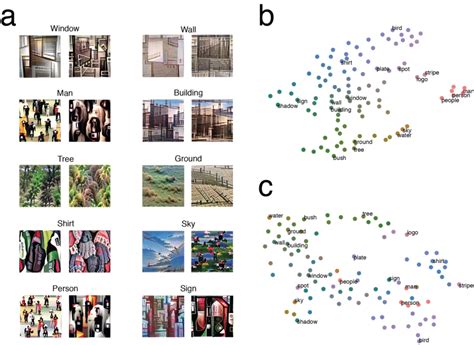Investigating The Representations Of The Deep Neural Network A Download Scientific Diagram