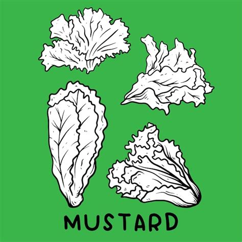 Premium Vector Hand Draw Vegetable Eggplant Icon