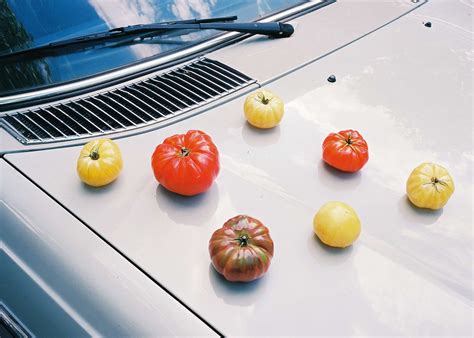 Valentin Semsedini — Musée Magazine