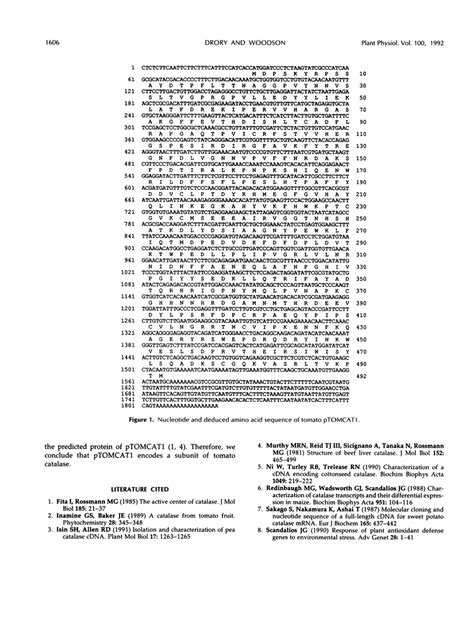 Molecular Cloning And Nucleotide Sequence Of A Cdna Encoding Catalase