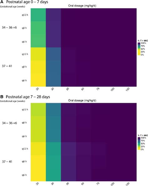 Exposure To Oral Amoxicillin 24 48 Hours After Start For Different