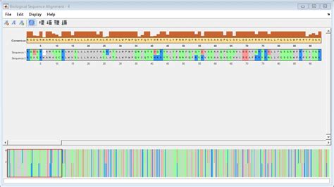 Bioinformatics Toolbox Matlab