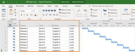Work Breakdown Structure Microsoft Project