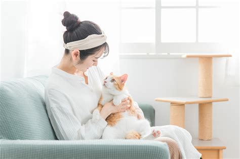 ペットシッターとは？どのような時に利用する？ 【公式】ピュアラックス（pureluxe）無添加ドッグフード・キャットフード通販