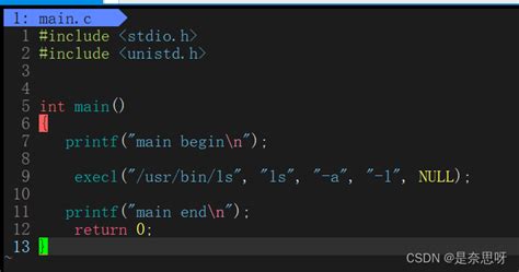 深入理解程序替换：系统调用与模拟shell命令 Csdn博客