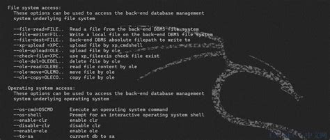 elasticsearch未授权访问漏洞 cn sec 中文网