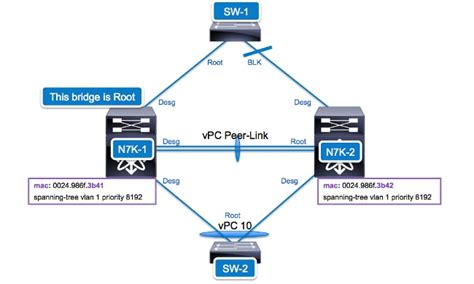 nexus 7000 peer switch configuration hybrid setup cisco
