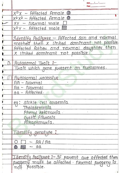 Ncert Class 12 Biology Principles Of Inheritance And Variation Notes Handwritten Notes And Pdf