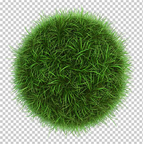 Grass Top View Round Grass Sphere Png Clipart Eco Garden Grass
