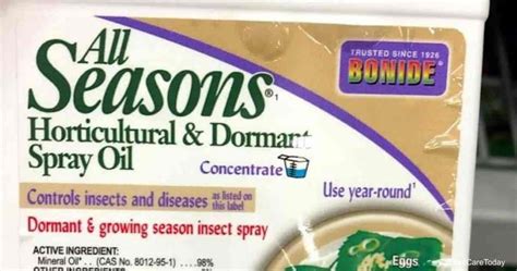 What Is Dormant Oil And How Do You Use It