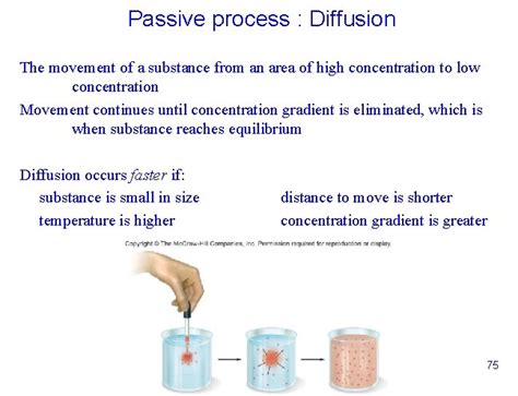 Common Cell Functions Text Readings Chapter 4 Lecture
