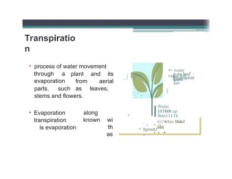 Hydrological Cycle And Its Components 1 2048 17 Files Mergedppt