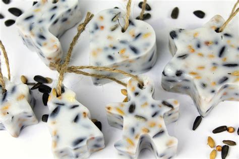 Diy Basteln Selbstgemachtes Vogelfutter Mit Plätzchenformen Dekoration Winterdekoration
