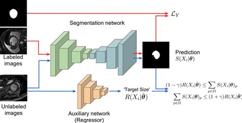 illustration of our curriculum semi supervised segmentation strategy