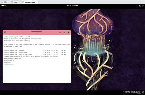 安装centos stream 10版本的linux虚拟机 csdn博客