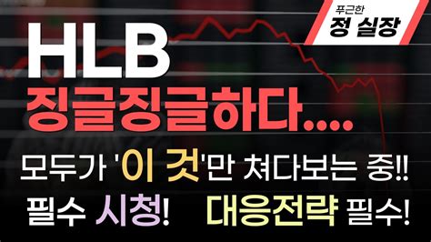 Hlb의 향방은 홀짝 게임의 답은 어느쪽일까 에이치엘비리보세라닙fda재심사hlb분석hlb전망 Youtube