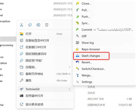 git客户端 tortoisegit 使用详解 csdn博客