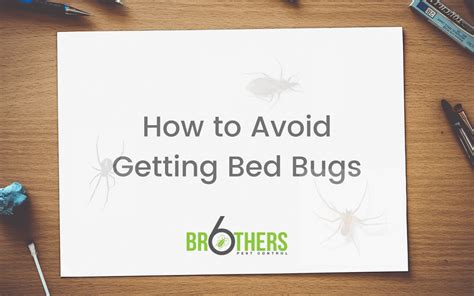 Do Bug Lights Work What To Know Before You Buy