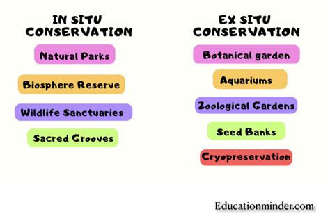 Meaning Types In Situ And Ex Situ Conservation Of Biodiversity