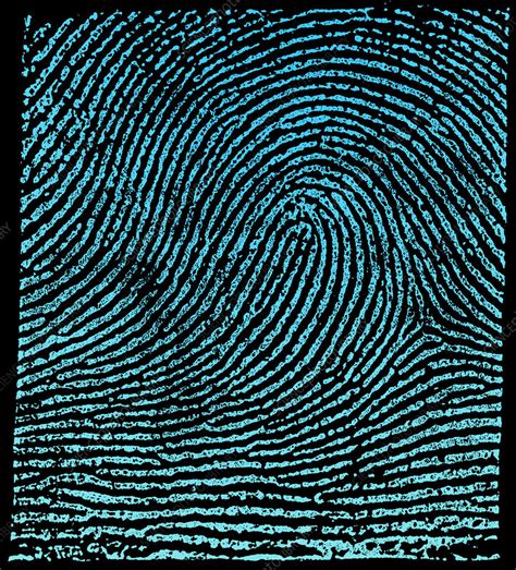 Typical Loop Pattern 1900 Stock Image C052 7285 Science Photo Library