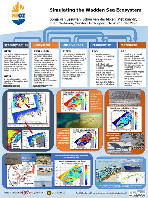 Sonja Van Leeuwen Nioz