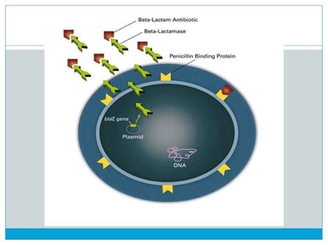 Bacterial Pathogenesis Ppt