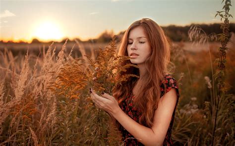Free Download Pictures Of Nature Beauty