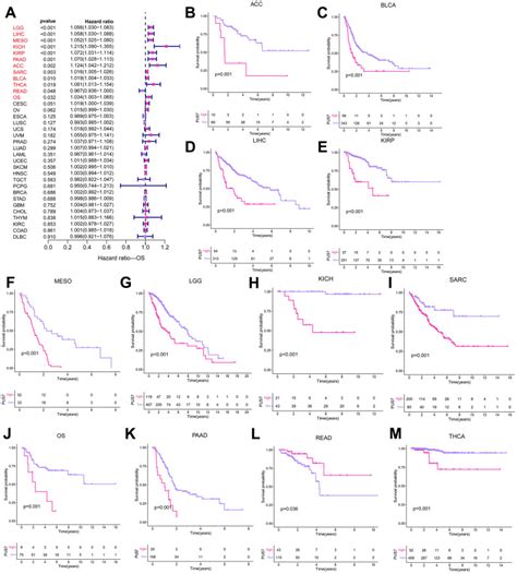 Comprehensive Analysis To Identify Pus7 As A Prognostic Biomarker From