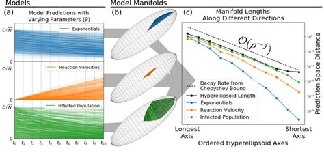 Model Manifold And Bounds Of Three Disparate Models 1 Exponential