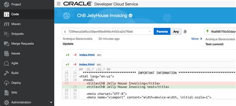 Andrej Baranovskij Blog NetBeans Git Client For JET Versioning And