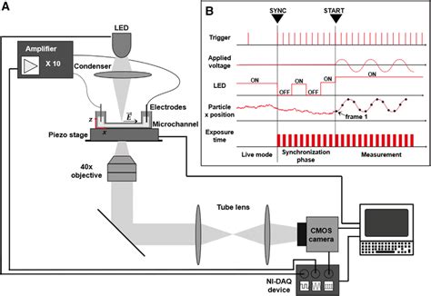 A Schematic Illustration Of The Experimental Setup B The Download Scientific Diagram