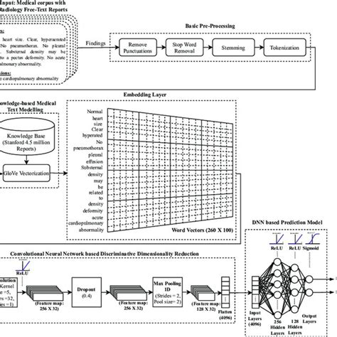 medical knowledge based deep learning framework download scientific