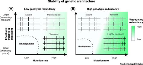 The Importance Of Genetic Redundancy In Evolution Trends In Ecology And Evolution