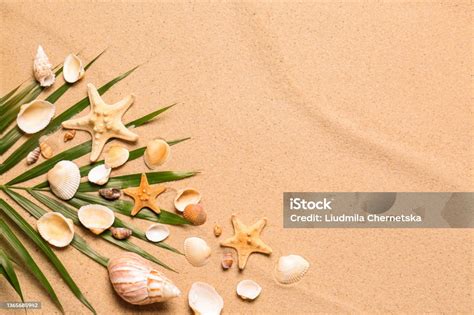 야자수 잎 불가사리 해변 모래에 조개 평면 텍스트 공간이 있는 누워 여름 방학 0명에 대한 스톡 사진 및 기타 이미지 0명