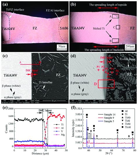 Cross Section Of The Joint A Macro Cross Section B Local Graph Of Download Scientific