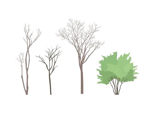 Set Of Flat Vector Trees Clipart Flat Vector Plant Etsy Vector Trees Plant Illustration