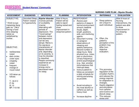 Nursing Care Plan Template