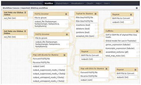 Cloud Based Bioinformatics Workflow Platform For Large Scale Next