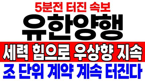 유한양행 긴급속보 유한양행주가 유한양행주가전망 유한양행목표가 유한양행전망 유한양행주식전망 유한양행주가분석 유한양행대응 유한양행호재 유한양행악재 Youtube