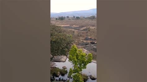 Vindhya Parvatgovindgarhjungle Youtube