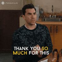 Sarcastic Thank You S Find And Share On Giphy