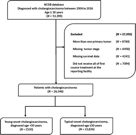 Characteristics And Clinical Outcomes In Young‐onset Cholangiocarcinoma