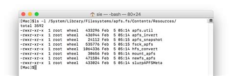 apple、macos sierraに次期ファイルシステム「apfs」用のユーティリティコマンド「apfs snapshot」などを同梱