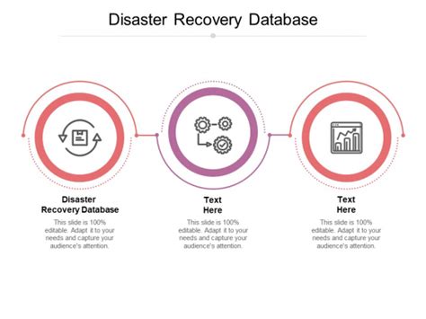 Disaster Recovery Database Ppt Powerpoint Presentation Outline Good Cpb