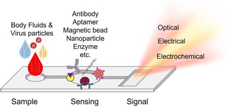 Microfluidic Based Virus Detection Methods For Respiratory Diseases Abstract Europe PMC