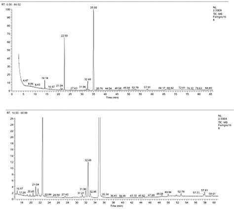 Total Ion Current Tic Chromatogram Of The Alga Extract Up And