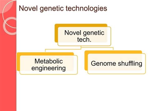 Strain Improvementpdf