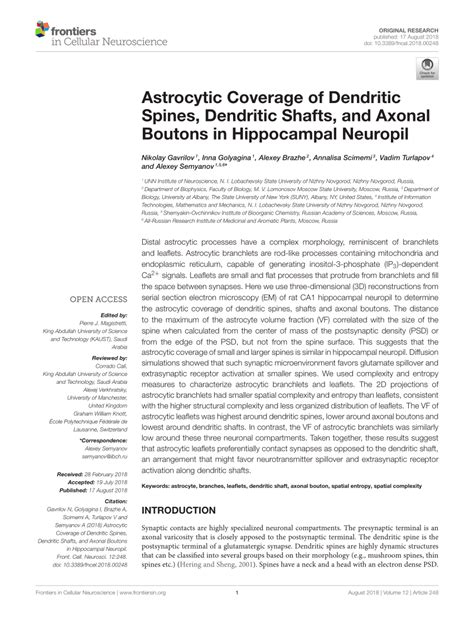 Pdf Astrocytic Coverage Of Dendritic Spines Dendritic Shafts And
