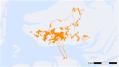 Create A Basemap • Tools4watlas