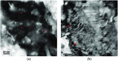 Bright Field Transmission Electron Microscopy Tem Micrographs And Download Scientific Diagram